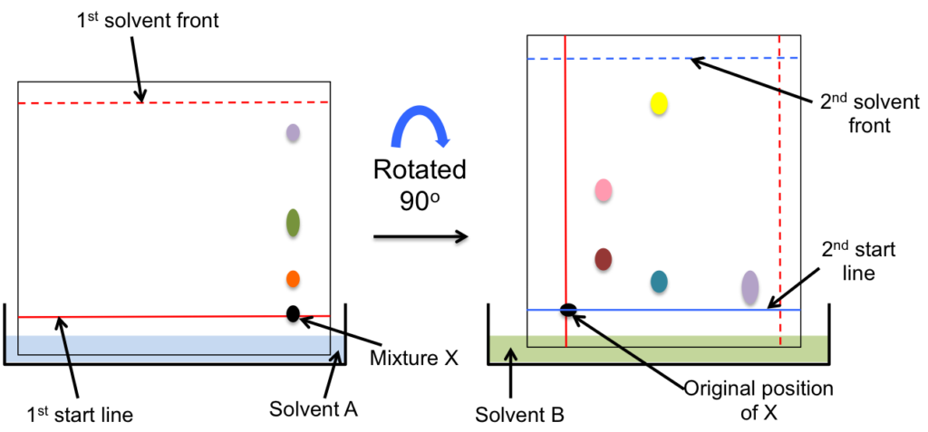 2-dimensional paper chromatography - Mono Mole
