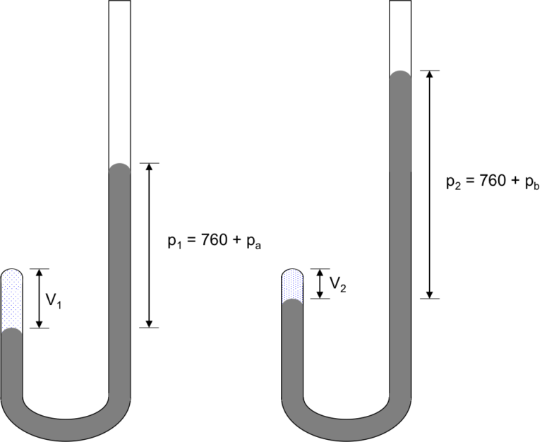Boyle’s law - Mono Mole