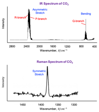 Exclusion rule in vibrational spectroscopy - Mono Mole
