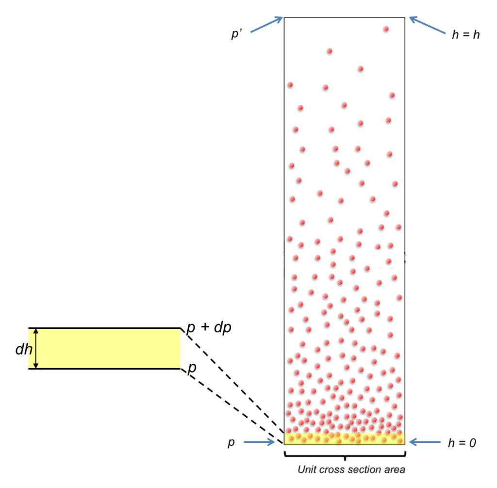 Perrin’s experiment: the concept - Mono Mole