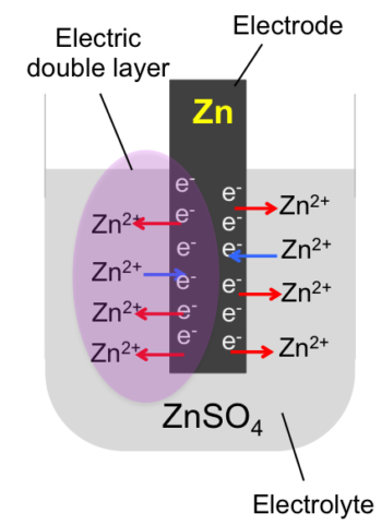 Measuring electrode potentials - Mono Mole