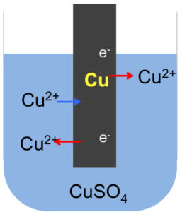 Electric double layer and electrode potential - Mono Mole