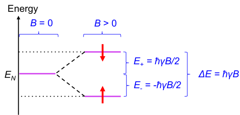 Nuclear magnetic dipole moment in an external magnetic field - Mono Mole