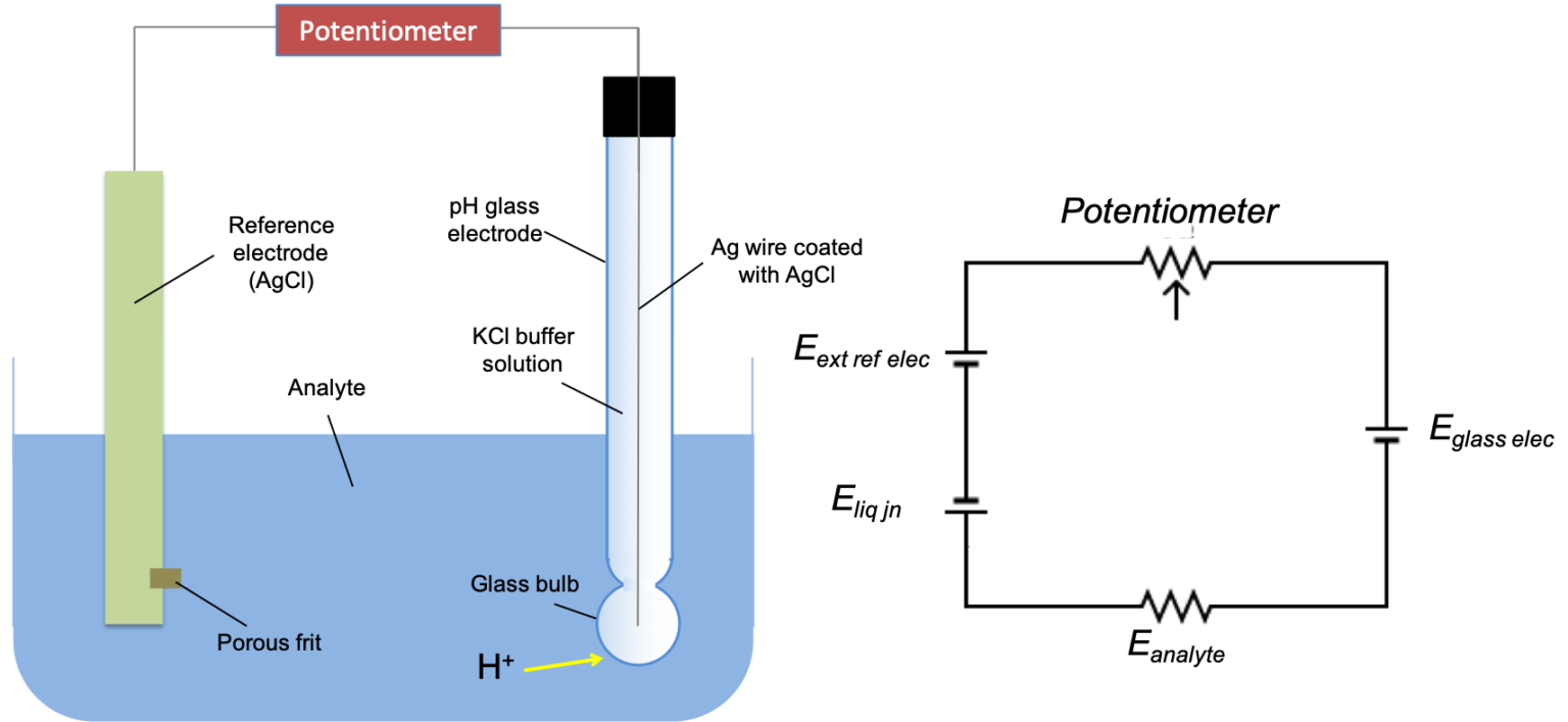 pH measurement using a glass electrode - Mono Mole