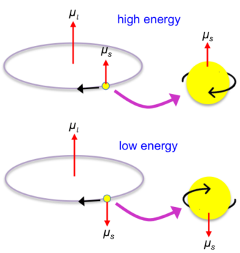 Electron spin - Mono Mole